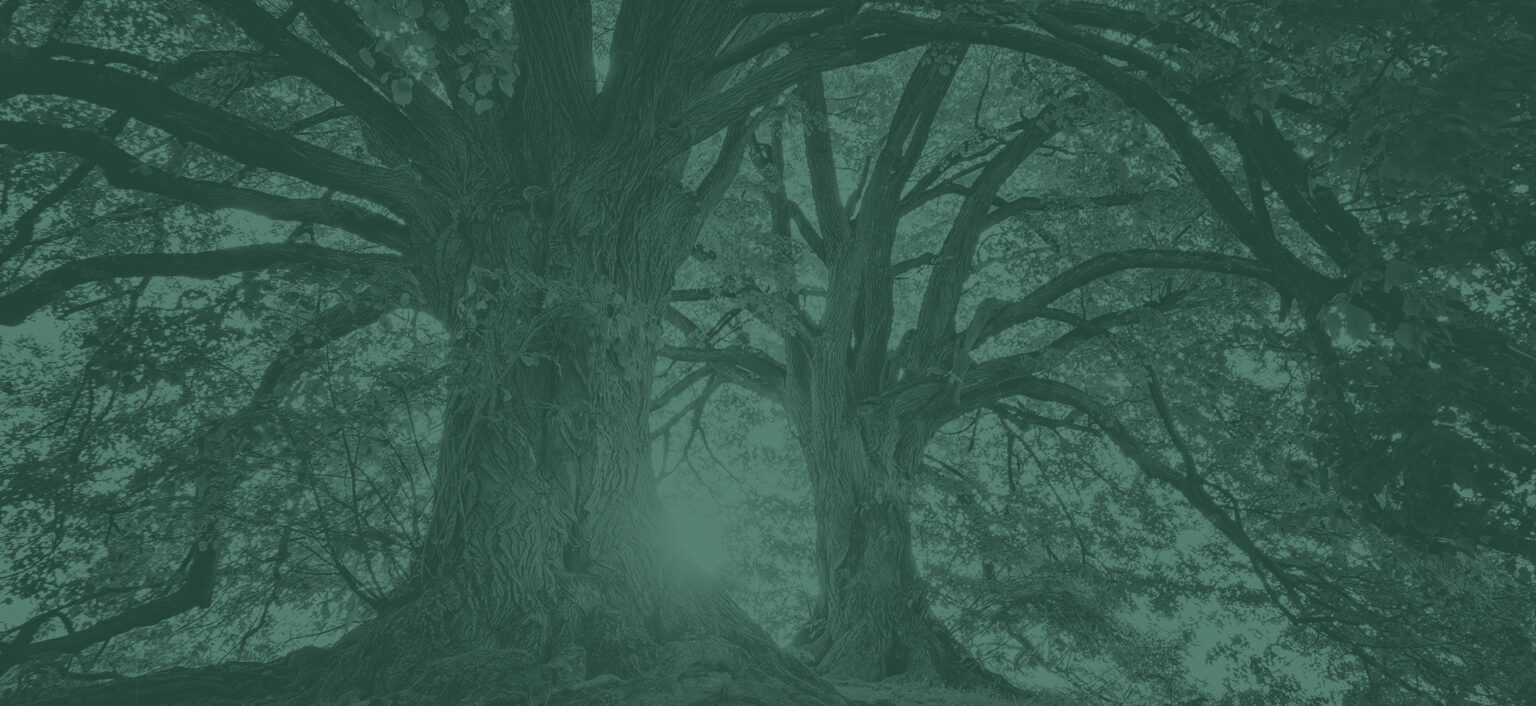 resources – Jeremiah Tree Foundation